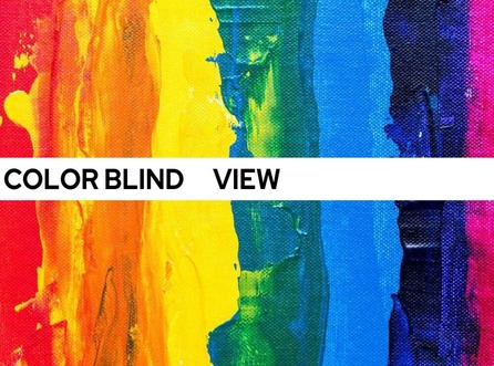 Color Blind Test - Quick and Accurate Vision Deficiency Check